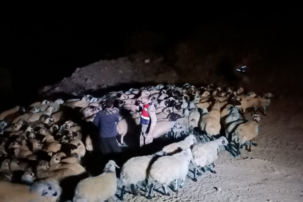 Elazığ'da kaybolan 230 küçükbaş hayvanı jandarma buldu - Özgür Dersim ... Elazığ'da kaybolan 230 küçükbaş hayvanı jandarma buldu - Özgür Dersim ...